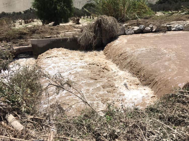 AUTORIDADES VISITAN LA PRIMERA BOCATOMA DEL RIO OSMORE EN EL ALGARROBAL